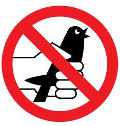 No poaching – Instickate