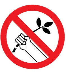 No plucking – Instickate